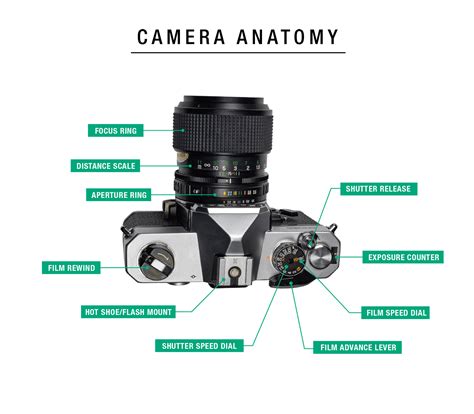 Parts Of Traditional Slr Camera