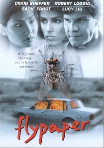 Flypaper 1999 Lucy Liu Craig Sheffer