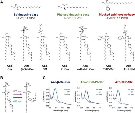 Sphingosine Backbone