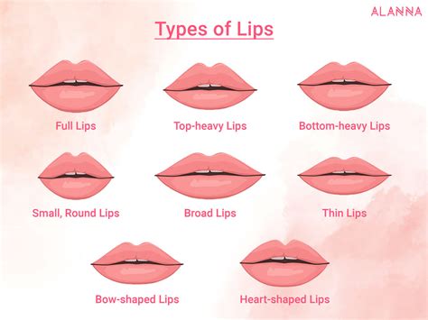 10 Types Of Womens Lips And How To Apply Makeup Huqc
