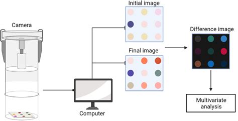 Figure 1 From Preparation Of Colorimetric Sensor Array System To Evaluate The Effects Of