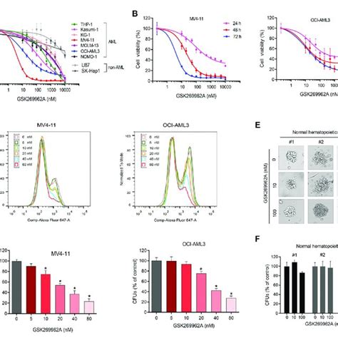 Gsk269962a Induces Apoptosis Of Aml Cells In A Dose Dependent Manner
