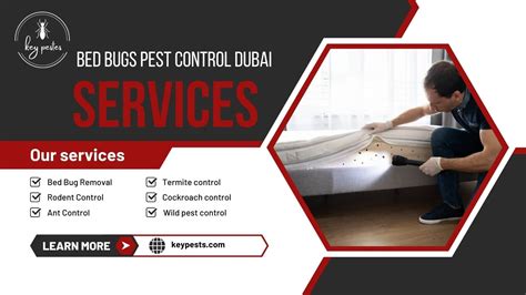 Bed Bugs Pest Control Dubai Expert Solutions