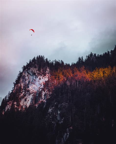 Aerial View Of Schwarzwald The Black Forest Germany Free Stock