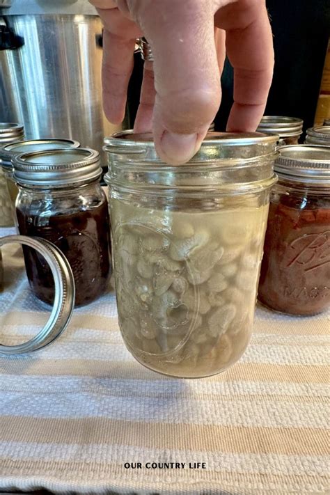 Save Time The Easy No Soak Method For Canning Dry Beans Our Country Life