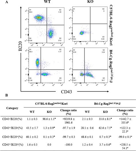 Facs Analysis Of B Cells In The Spleen Of Rag2 Korl And Rag2 J Ko Mice