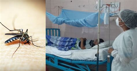 Piura Confirma Primer Fallecido Por Dengue Infobae