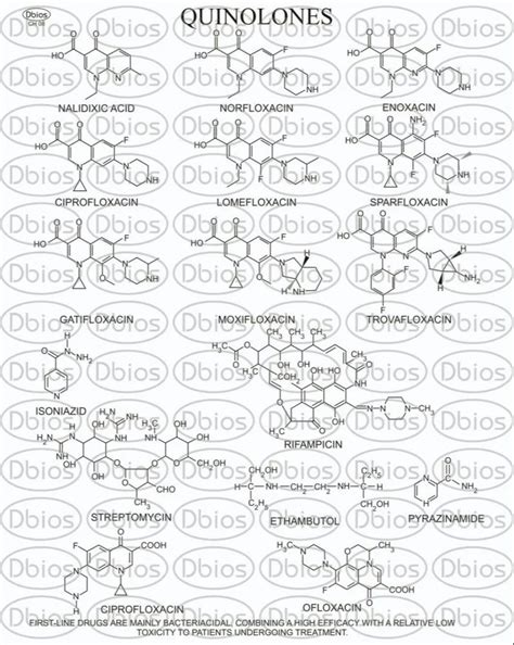 Clinical Pharmacy Laminated Chart At ₹ 800piece Medical Chart In