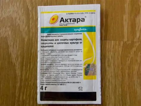 Паутинный клещ на комнатных растениях, как бороться - народные средства ...