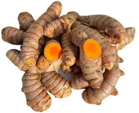 Aywal Kachi Haldi Row Turmeric Arishina Seeds 100 Germination Seed Price In India Buy