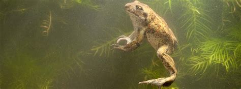 Joris De Raedt Illustrations And Graphics Deze Maand In Roots Alles