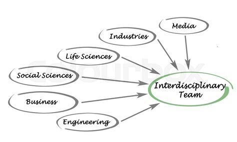 Interdisciplinary Team Stock Image Colourbox