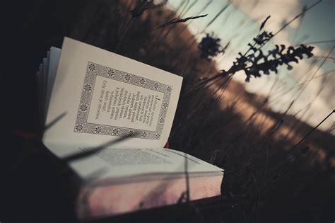 Platón Y El Significado Del Auriga Constelaciones