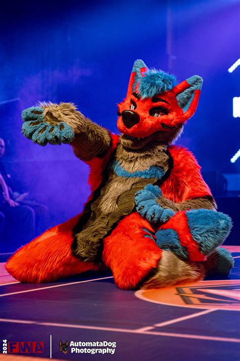 A Daily Photo From A Furry Photographer Day 484 Album On Imgur