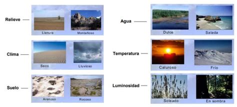 Biotopo Qués Es Tipos Componentes Y Ejemplos Ovacen