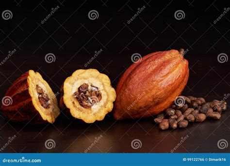 Cacao Pod Cut Open To Show Cacao Beans Inside In Thailand Stock Image