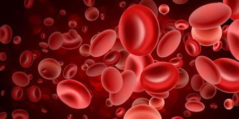 Clinical Trial Data Insights In Hyperphosphatemia