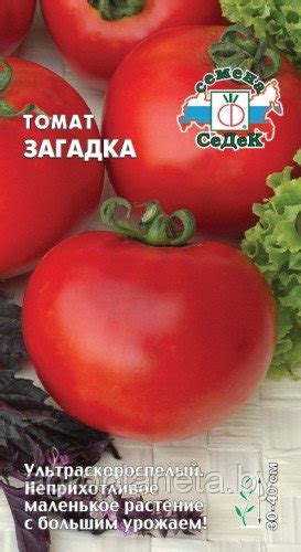 Томат Загадка, 0.1г: семена, семена овощных культур, семенами, семена ...