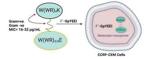 The Sciencein On Linkedin Synthesis And Biological Evaluation Of