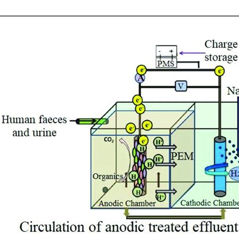 Schematic Of Human Waste Processing Microbial Fuel Cell Anode Chamber