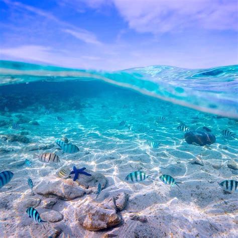 Steve Simonsen Photography Portfolio Steve Simonsen Photography Artofit