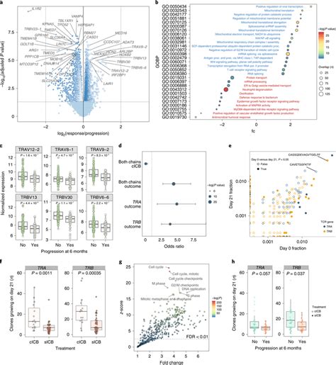 Identification Of Transcriptomic Correlates Of Long Term Response A