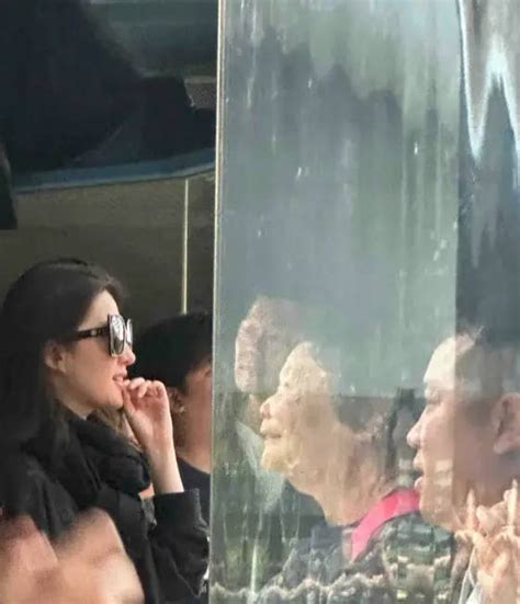 香港偶遇刘亦菲游玩 穿黑色卫衣随性休闲 搜狐大视野 搜狐新闻