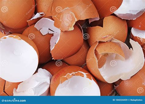 Egg Shell Texture Brown Eggs As Background Egg Shells Photography In