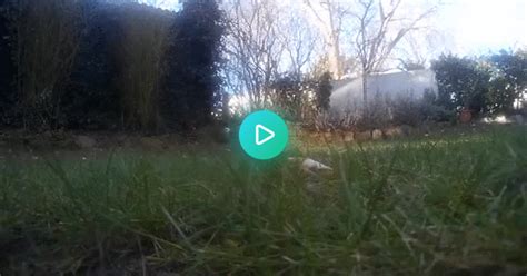 Flying My New Quadcopter For The First Time  On Imgur