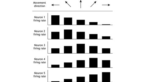 Execution Of Movement Introduction To Neurobiology