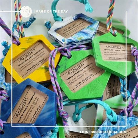 Darshani Persadh A South African Entrepreneur Driving Randd Innovation