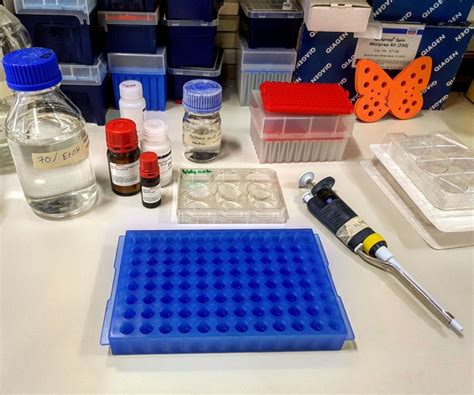 Biochemical Society On Linkedin One Size Doesnt Fit All 5 Things I