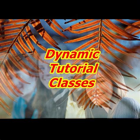 Dynamic Tutorial Classes