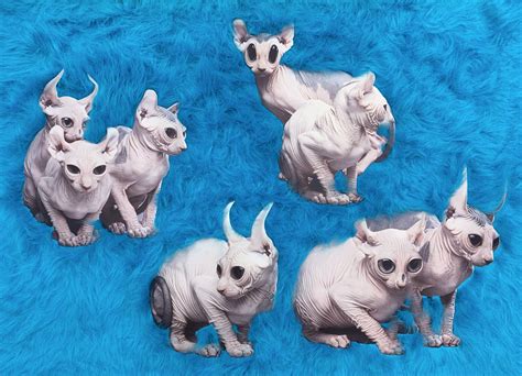 Iris Helena Hamers Easter Eggs Gemeinde KÖln