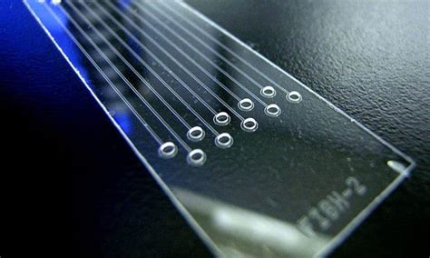 Microfluidic Chip Market Is Booming Worldwide Fluidigm Agilent Micronit Newstrail