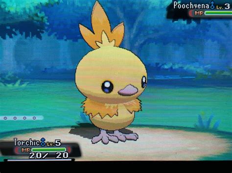 [gen Vi] Shiny Torchic After 8812 Srs My Mom Named Him Squirt R
