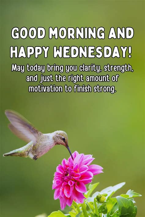22 Happy Hump Day Wishes To Lift Your Spirits This Wednesday
