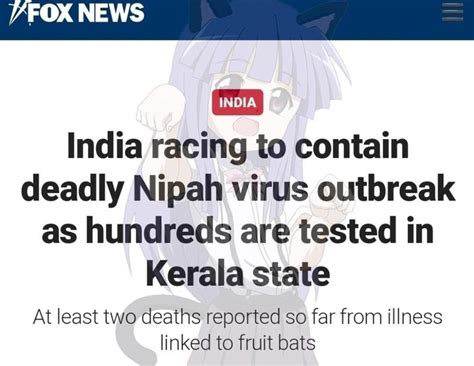 Deadly Nipah~ Virus Nipah Know Your Meme