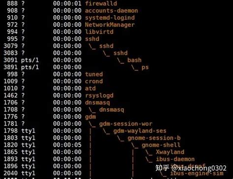 通过20个实例掌握 Linux Ps 命令 知乎