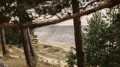 Tavaklaselv Dabas Ainavas Пейзажи