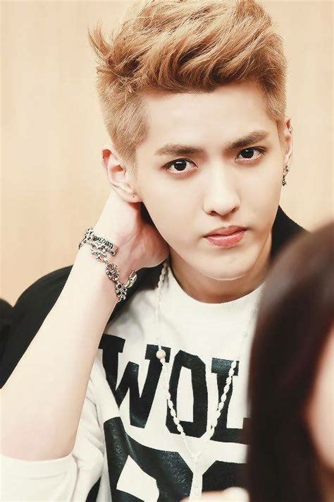 kris Wiki EXO 엑소 Amino