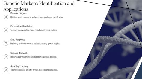 Exploring Genetic Polymorphism Variations And Impacts Ppt Powerpoint St