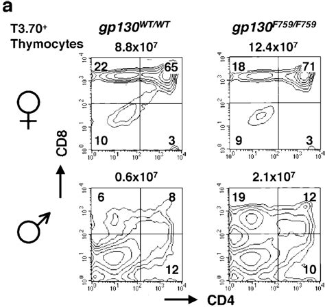 Impaired Thymic Negative Selection In Gp130 F759f759 Mice A
