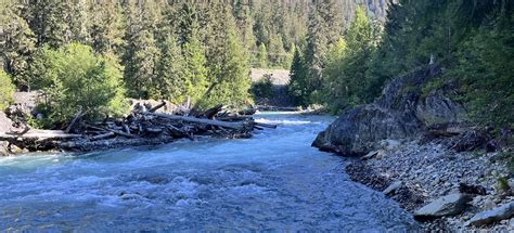 Cheakamus River Trail 725 Fotos Colúmbia Britânica Canadá Alltrails
