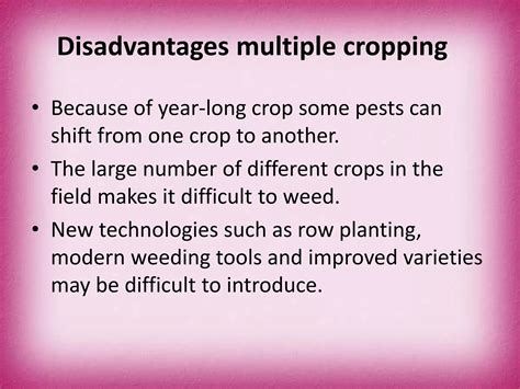 Multiple Cropping Systems Pptx