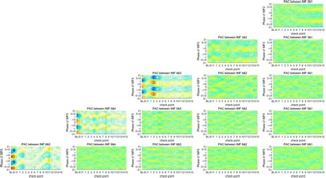 Phase Amplitude Plots For 15 Pac Couplings At 18 Checkpoints For Group