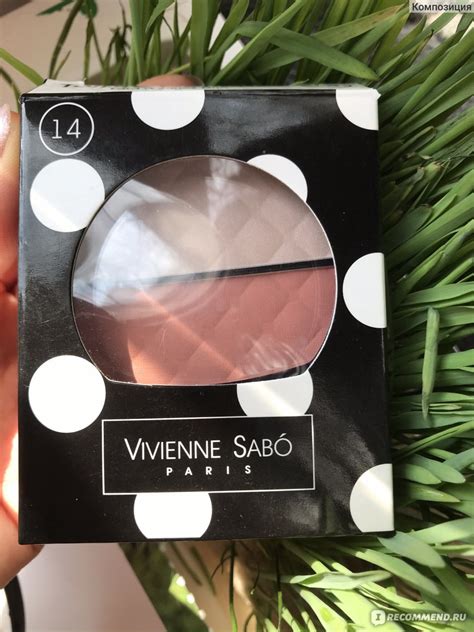 Румяна-хайлайтер двойные Vivienne Sabo Fard a Joues Duo Teinte Delicate ...