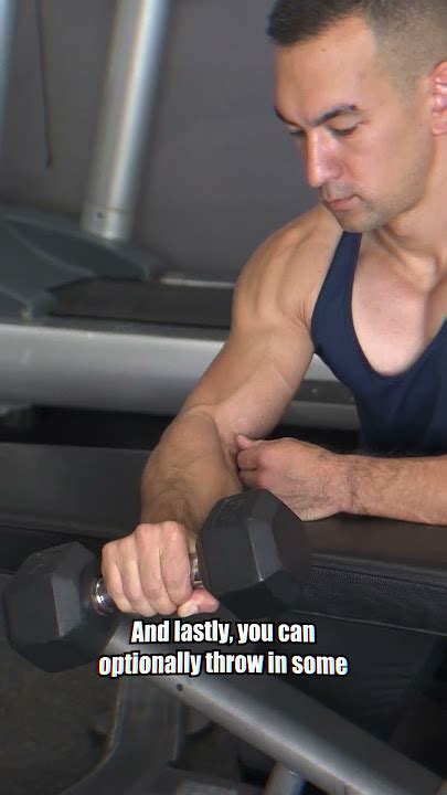 Forearm Extensor Muscles Новости России и мира сегодня