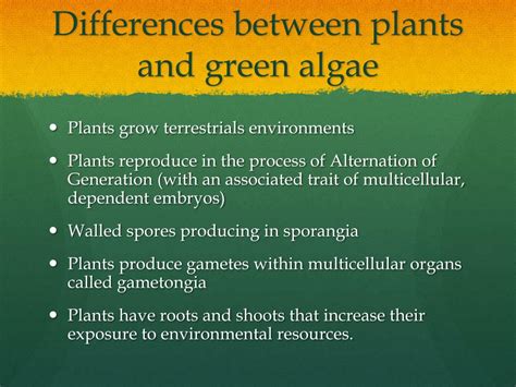 PPT From Algae To Terrestrial Plants PowerPoint Presentation Free Download ID 2189524