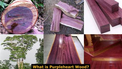 What Is Purpleheart Wood Woodworkmag Com